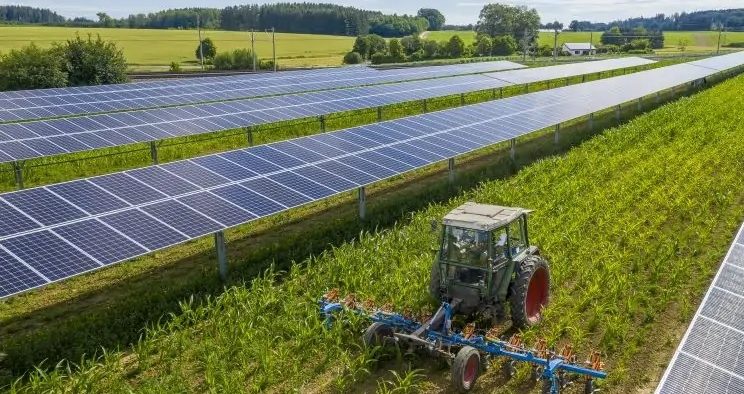 Agri-Photovoltaik: Neue Flächen für die Stromerzeugung durch Solarenergie - Solarserver · EEHD